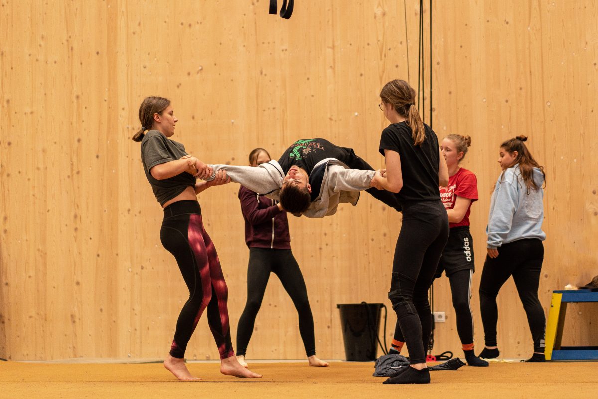 Akrobatik — CircArtive School